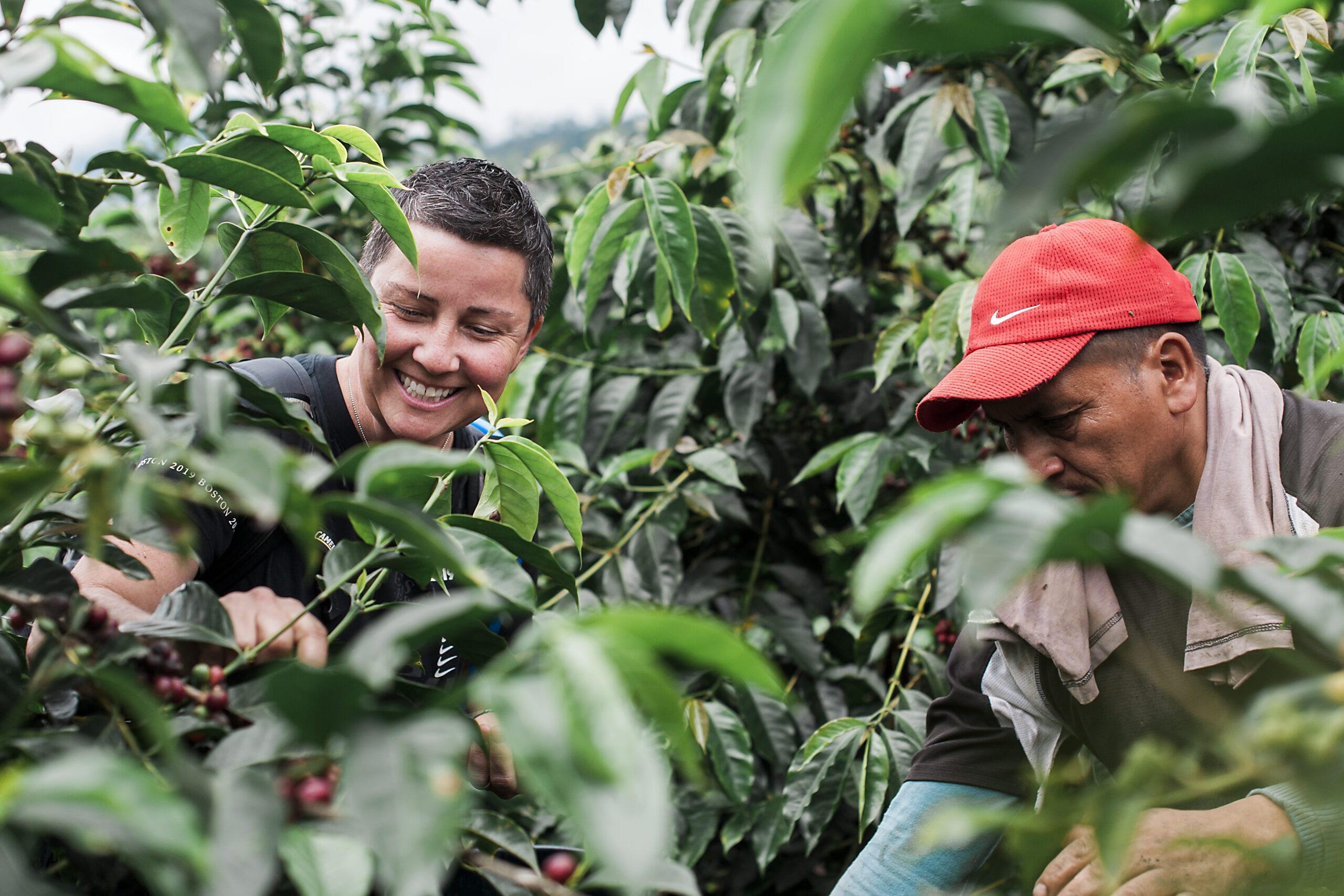 What Is Fair Trade Coffee Dublin Roasters Coffee What Is Fair Trade Coffee Dublin Roasters Coffee